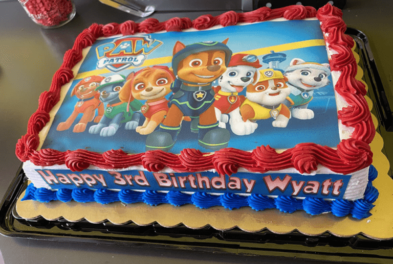Ryder’s PAW-Tastic Guide to the 11 Best PAW Patrol Cake Ideas - The ...